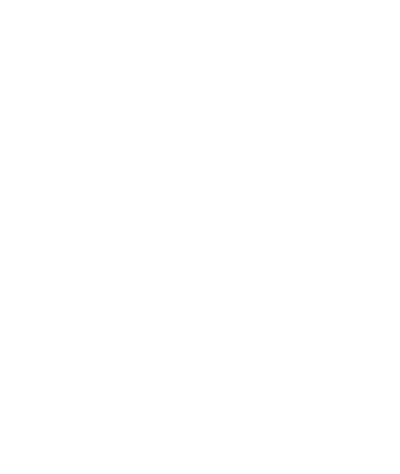 Buffet Belize - rangahaus